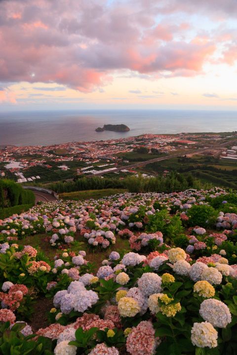 Azorean town at sunset - Gaspar Avila - Photography, Landscapes ...