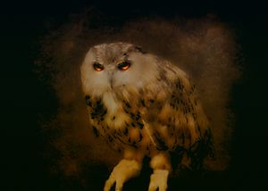 Simon Hark - Photography, Digital Art & AI, Paintings & Prints