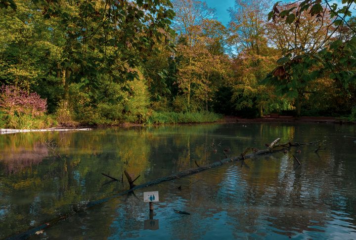 Apley Woods pond - Simon Hark - Photography, Landscapes & Nature, Lakes ...
