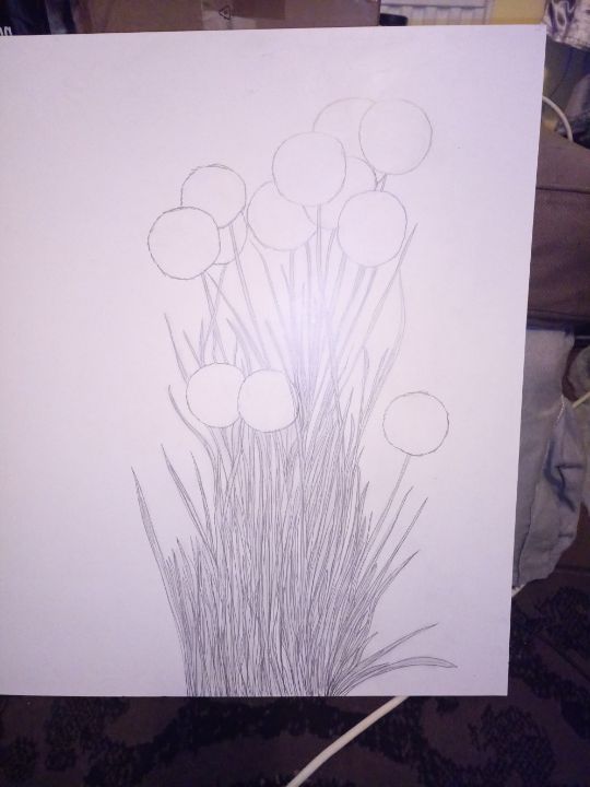 Bobble head sketch - BnB paintings - Drawings & Illustration, Flowers ...