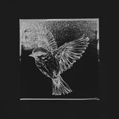 Looking Awry - Paintings & Prints, Drawings & Illustration, Digital Art ...