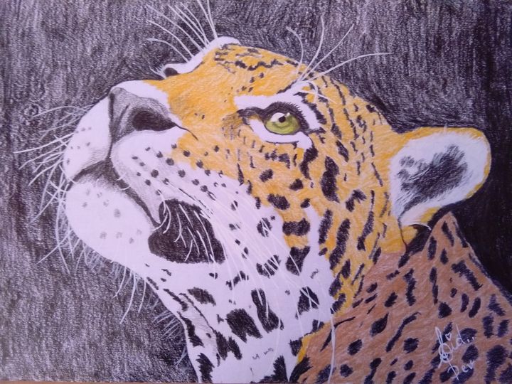 Aspiration in leopard's eyes - Siddharth Dev - Drawings & Illustration, Animals, Birds, & Fish ...