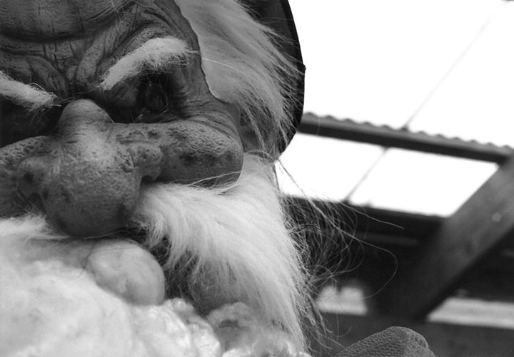 Tuinman - Liz Llewellyn - Photography, Holidays & Occasions, Halloween ...