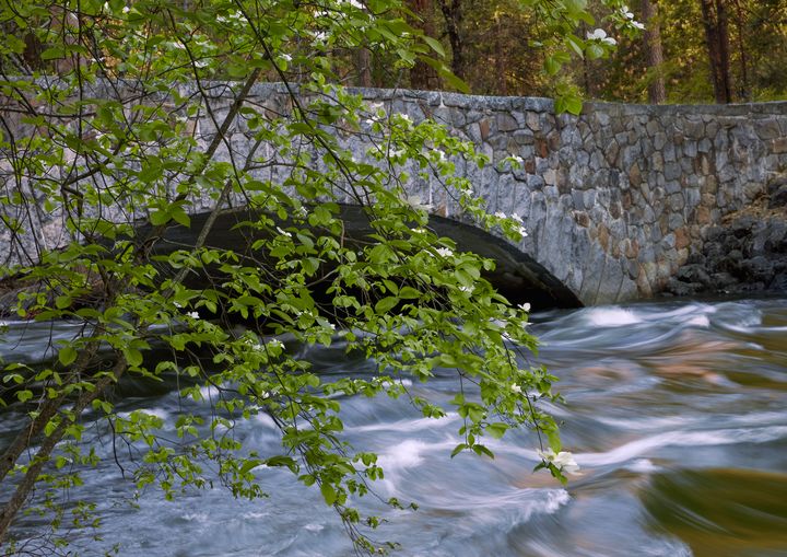 Bridge Over Troubled Waters - Tiffany Layne Gallery - Photography ...