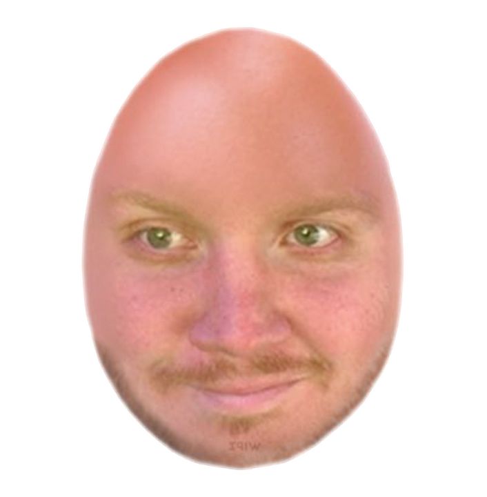 Influencer TimTheTatman Beautiful - gallery - Paintings & Prints ...