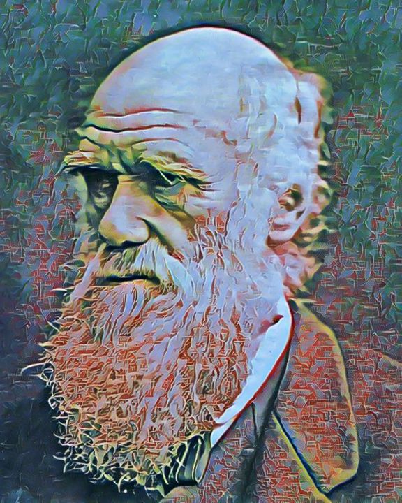 Charles Darwin Portrait Artistic - gallery - Paintings & Prints ...
