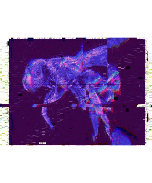 Wasp Pixelated Abstract Art - red-amber65 - Digital Art & AI, Animals ...