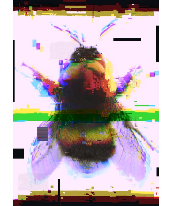 Bumble Bee Pixelated Abstract Art - red-amber65 - Digital Art & AI ...