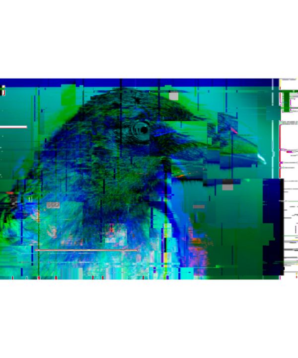 Raven Pixelated Abstract Art - red-amber65 - Digital Art, Animals ...