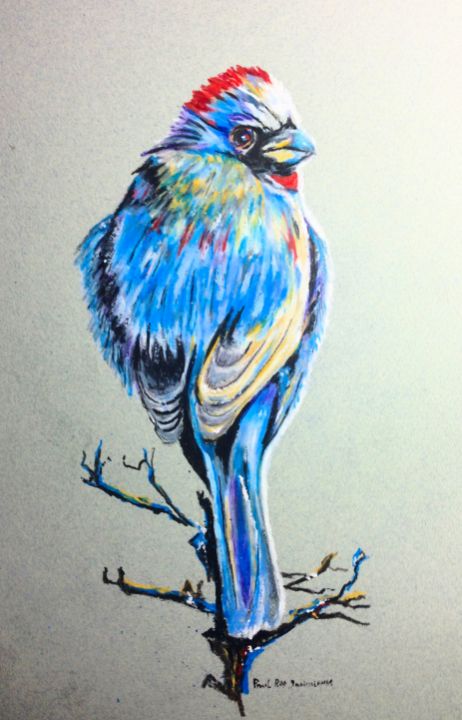 BLUE BIRD - P.R. Sandilands - Paintings & Prints, Animals, Birds ...
