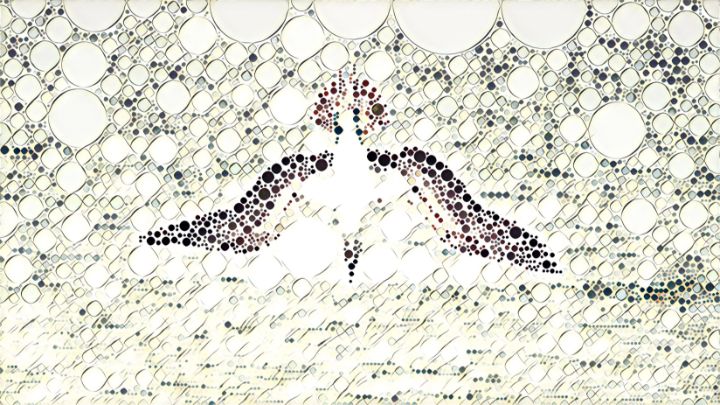 Deep Diving Seabird - Ken Lomas Artwork - Digital Art & AI, Abstract ...