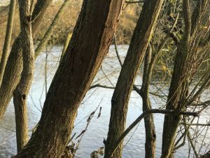 Photography - Photography