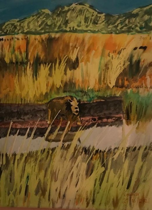 Gaynor Paynter - Paintings & Prints, Drawings & Illustration