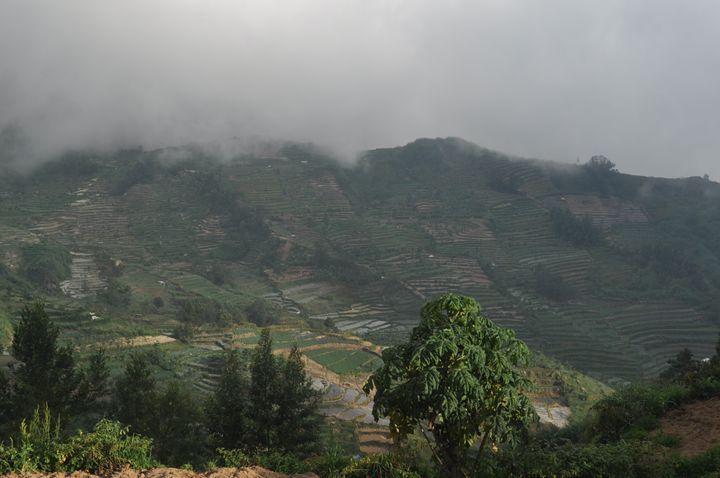 Banjarnegara - central Java - Kwazen Gallery - Photography, Landscapes ...