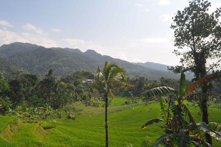 Paninggaran village in central java - Kwazen Gallery - Photography ...