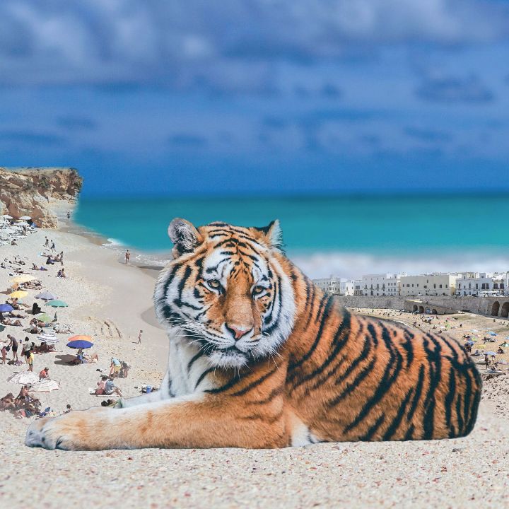 Tiger In A Beach Crowd - PhotooTwist - Digital Art & AI, Animals, Birds ...