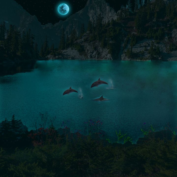 Glowing Lake Dolphin At Night - PhotooTwist - Digital Art, Landscapes ...