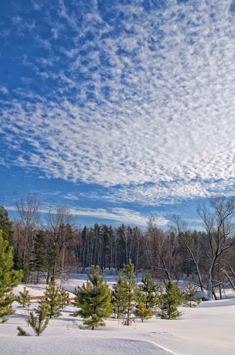 Winter. Field. Fence - mnwind - Photography, Landscapes & Nature ...
