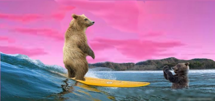 Bear's day of surfing - Digiart - Digital Art & AI, Animals, Birds ...