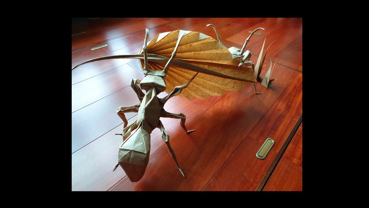 Origami Ant - Origami Life - Crafts & Other Art, Origami - ArtPal