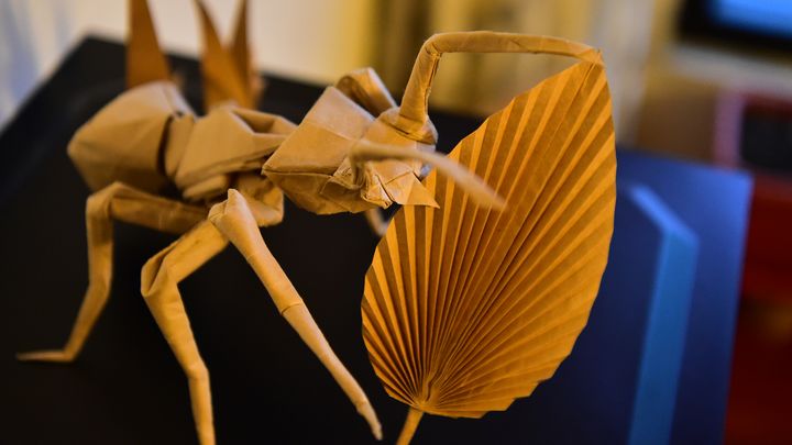 Origami Ant - Origami Life - Crafts & Other Art, Origami - ArtPal