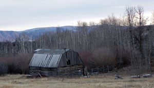 Josh Spendlove - Photography