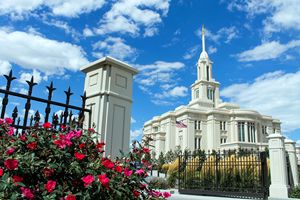 Josh Spendlove - Photography