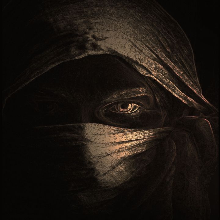 Shrouded Face In The Dark 6 - Web Seed Designs - Digital Art & AI, People & Figures, Female Form ...
