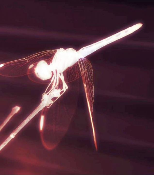 The alien dragon fly - Aasearts - Photography, Animals, Birds, & Fish ...