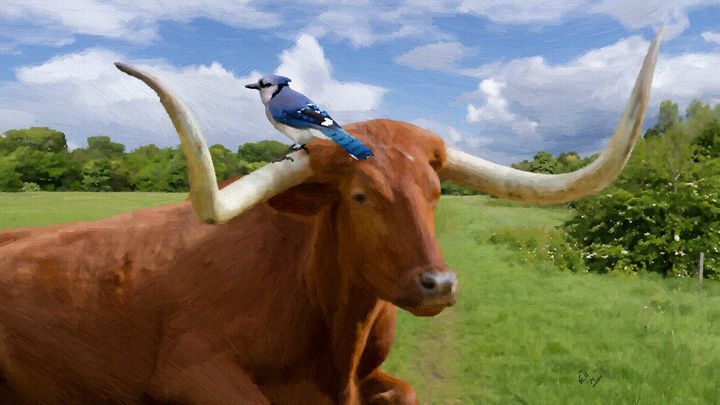 A good place to rest - Ed Mace - Paintings & Prints, Animals, Birds ...