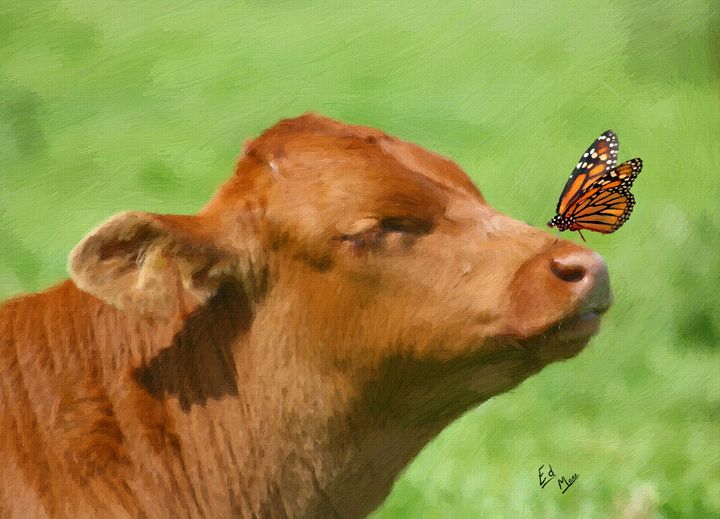That tickles my nose - Ed Mace - Paintings & Prints, Animals, Birds ...