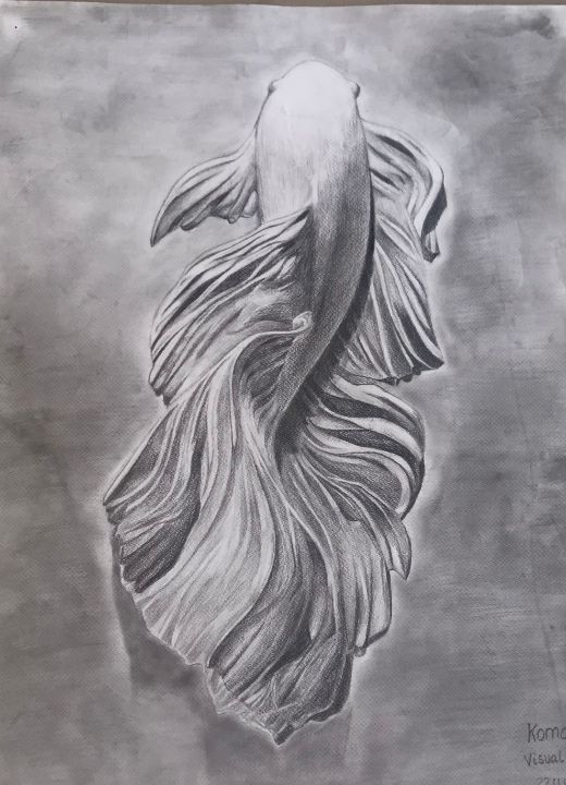 Charcoal Drawing Coy Fish
