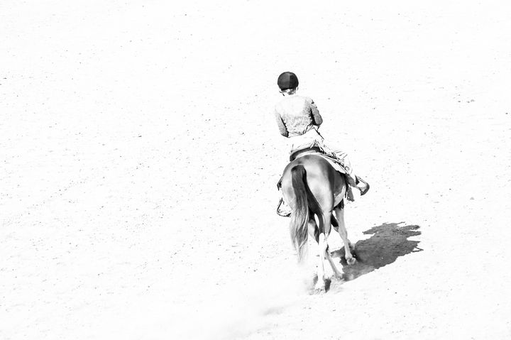 On the Loop - Persinger Creations - Photography, Animals, Birds, & Fish ...