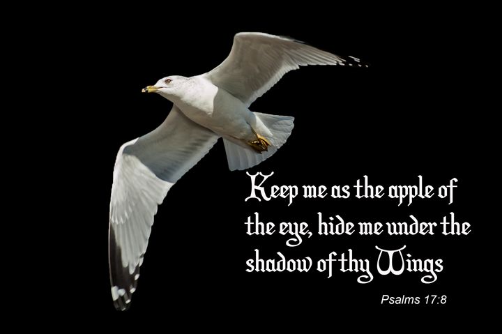 Psalms 17:8 - Persinger Creations - Digital Art & AI, Religion ...