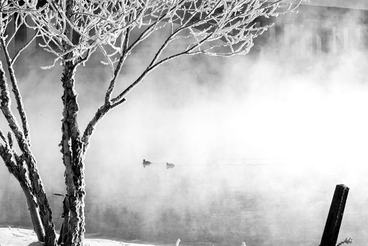 Frosted Silhouttes - Persinger Creations - Photography, Landscapes ...