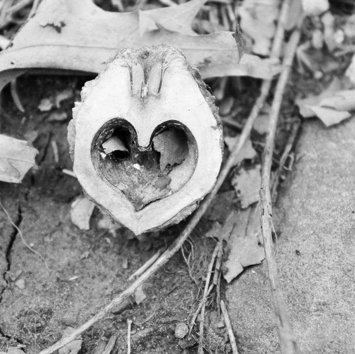 ElizabethAshley Photo - Photography