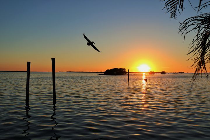Had to Say Goodbye - Photography by Michiale - Photography, Landscapes ...