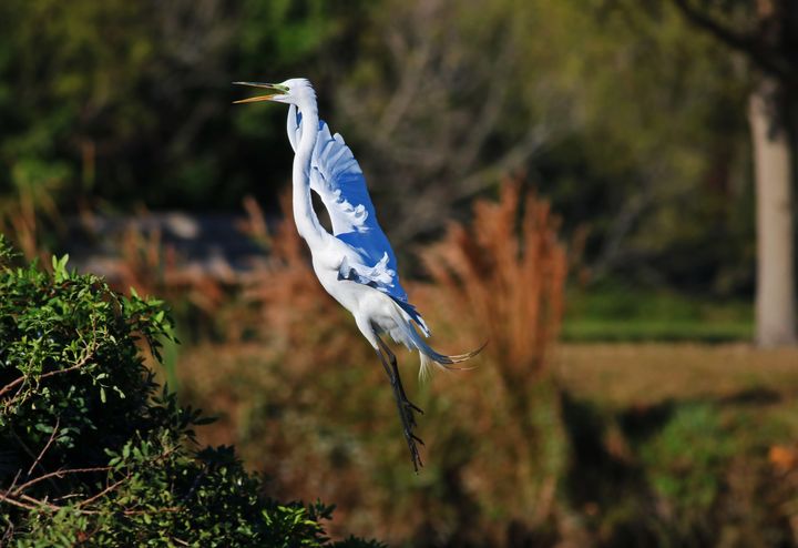 Awkward is My Specialty - Photography by Michiale - Photography ...