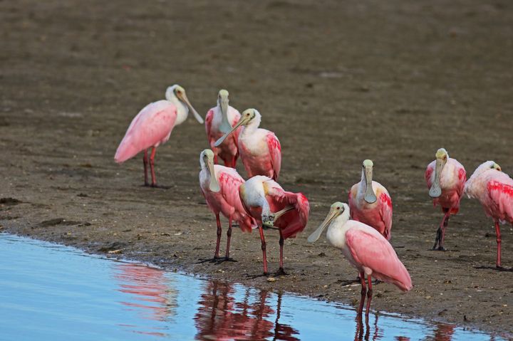 Geez Margaret-You Woke Up Sexy AGAIN - Photography by Michiale ...
