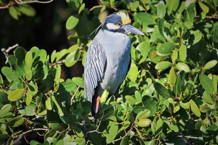 I See Your True Colors - Photography by Michiale - Photography, Animals ...