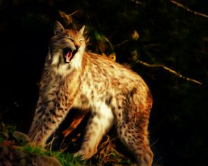 Ray LeBlanc - Digital Art, Paintings & Prints
