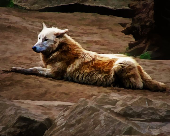White Wolf - Ray LeBlanc - Digital Art, Animals, Birds, & Fish, Wolves ...
