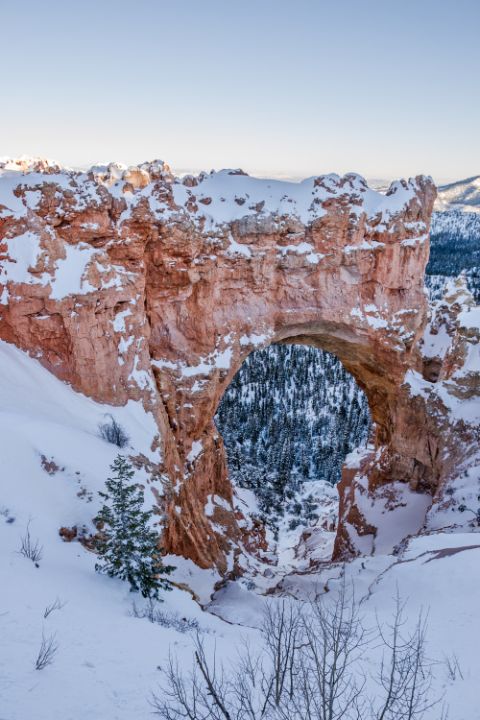 Awesome - Photography