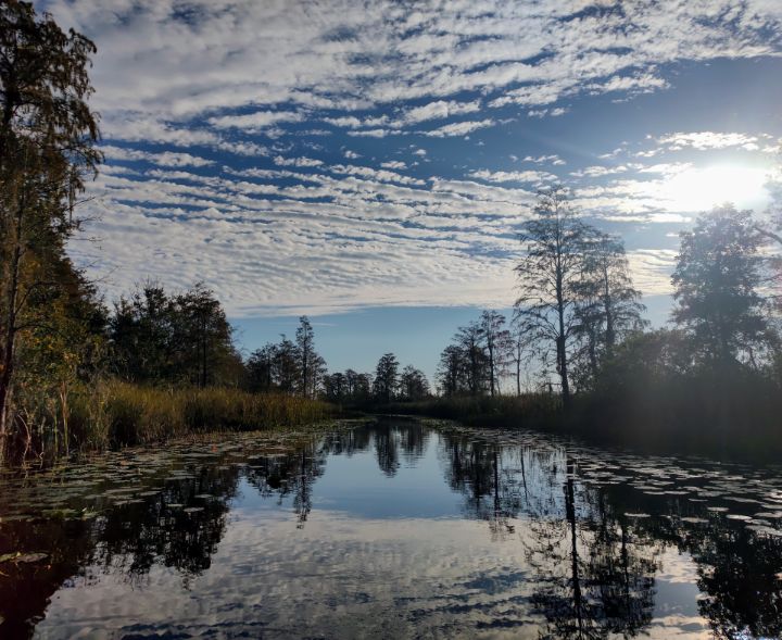 River reflection view - LTG Photography - Photography, Landscapes ...