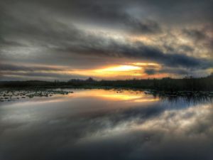 Palatlakaha picture pimp - Photography, Digital Art