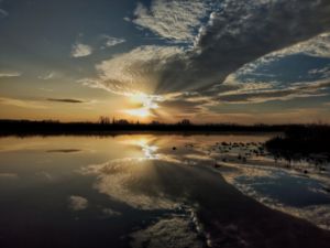 Palatlakaha picture pimp - Photography, Digital Art