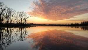 Palatlakaha picture pimp - Photography, Digital Art