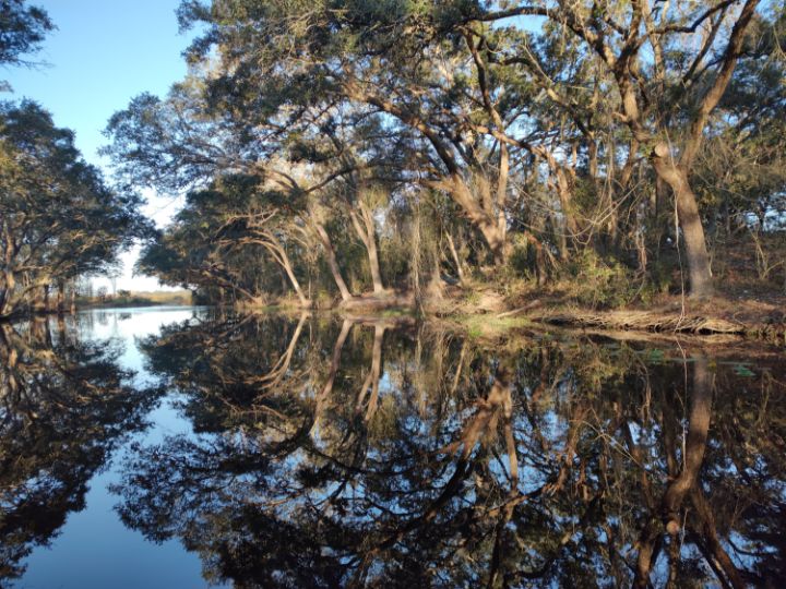 Right side oak tree reflections - LTG Photography - Photography ...