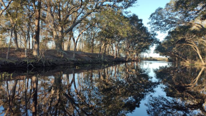 Left side canopy reflection - LTG Photography - Photography, Landscapes ...