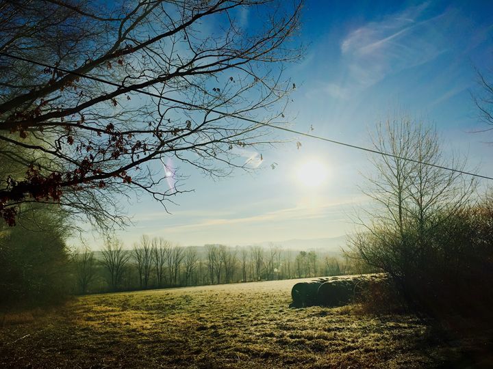 Fields of hope - Krista Flaherty - Photography, Landscapes & Nature ...